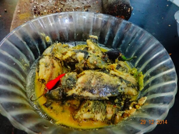 How to cook koi fish in milk(koi macher jhol bengali recipe) – Indrani ...