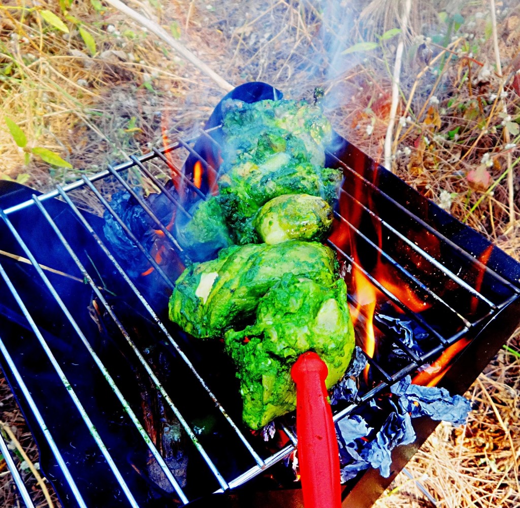 12 Best chicken starters to make at home