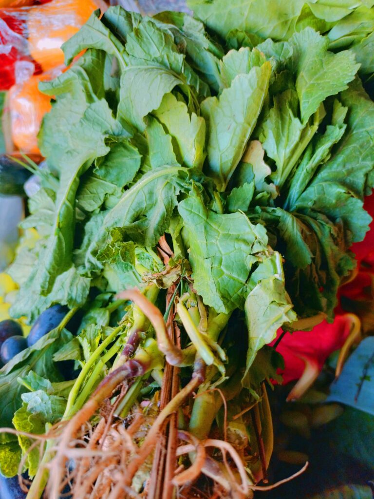 Winter vegetable recipes