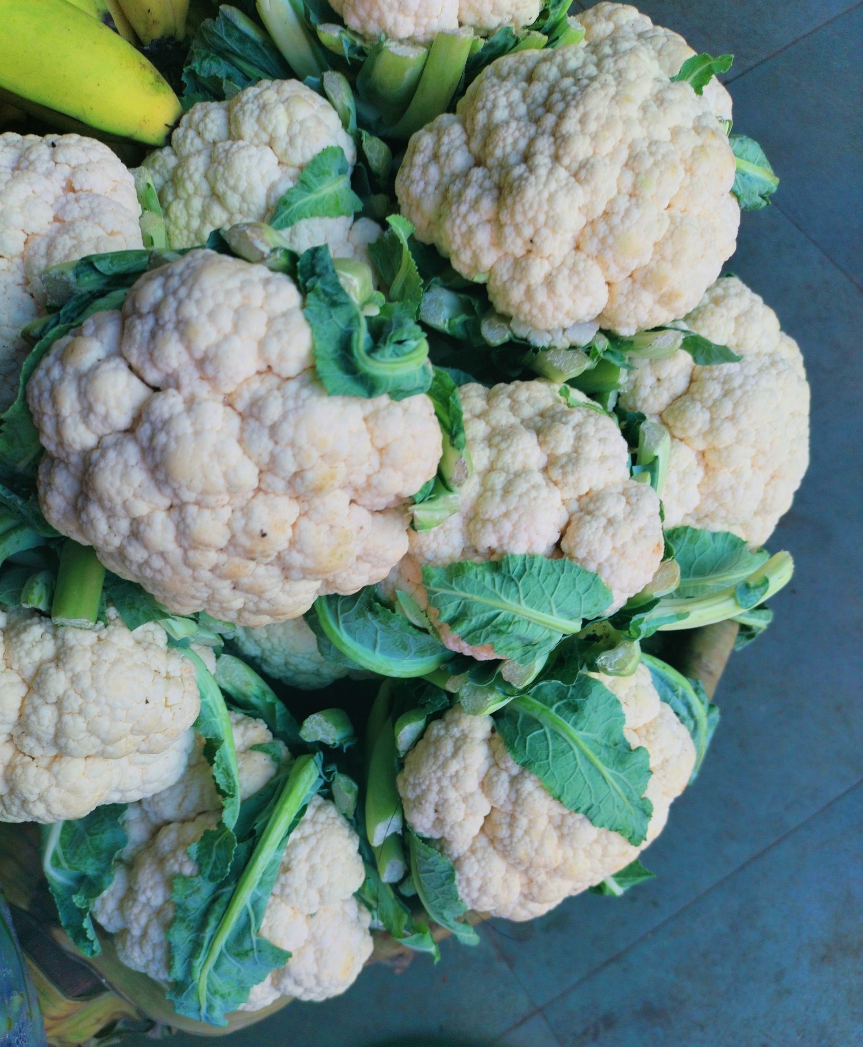 Winter vegetable recipes | Indrani’s recipes cooking and travel blog